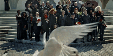 Dove Commercial Parody GIFs - Get the best GIF on GIPHY