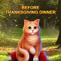 Cat Thanksgiving Gif