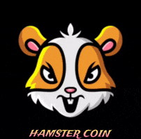 Hamster Coin GIFs on GIPHY - Be Animated