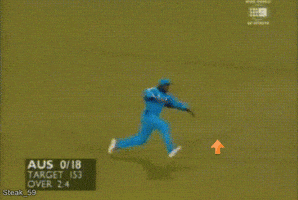 Cricket Cricket GIFs - Find & Share on GIPHY