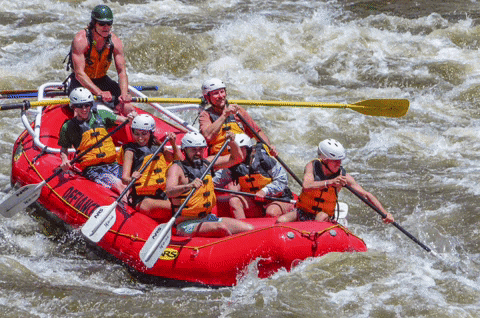 Defiance Rafting GIF - Find & Share on GIPHY