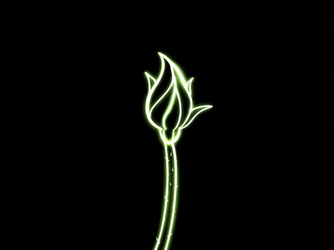 Neon Rose GIFs - Get the best GIF on GIPHY