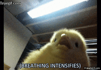 Breathing Intensifies Animated Gif