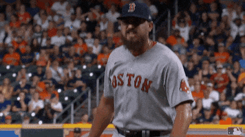 Boston Red Sox GIFs on GIPHY - Be Animated