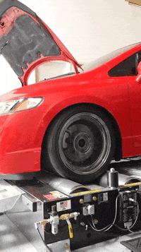 Dyno Dynoed GIF - Dyno Dynoed Dyno Bot - Discover & Share GIFs🍸 ...