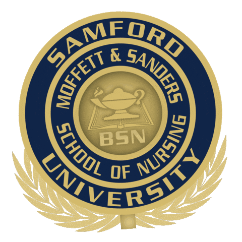 School Of Nursing Sticker by Samford University for iOS & Android | GIPHY