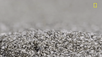 Hostile Planet: Oceans by National Geographic TV | GIPHY