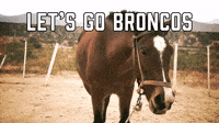 Denver Broncos Suck