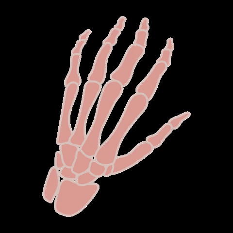 Skeleton Hand GIFs - Get the best GIF on GIPHY