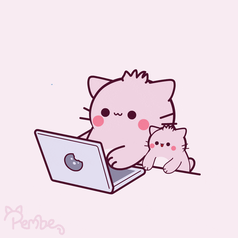 Cat Laptop Gif
