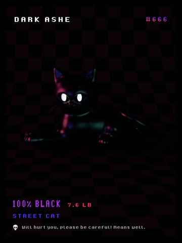 Street-cats GIFs - Get the best GIF on GIPHY