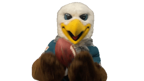 Football Swoop Sticker by Philadelphia Eagles for iOS & Android | GIPHY