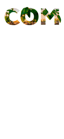 Rural Brasil GIFs on GIPHY - Be Animated