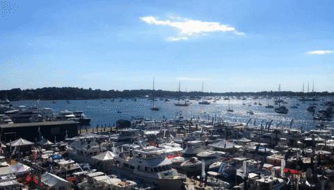 Newport Dockwa GIF - Find & Share on GIPHY