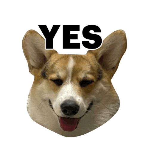 Yes Dog Meme