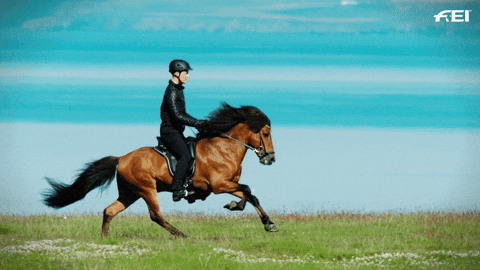 Pony-pony-run-run GIFs - Get the best GIF on GIPHY