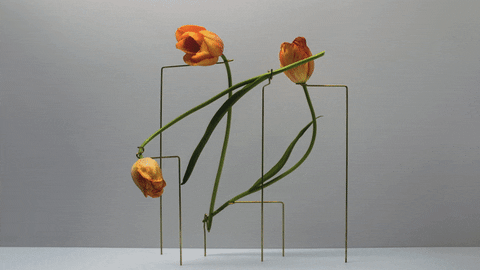 AnOther GIFs on GIPHY - Be Animated