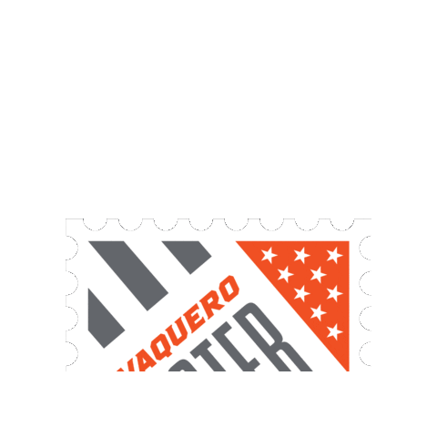 Vaqueros Vote 2023 GIFs on GIPHY - Be Animated