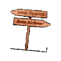 Avior Airlines GIFs on GIPHY - Be Animated