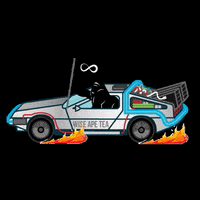 Back To The Future Delorean Gif