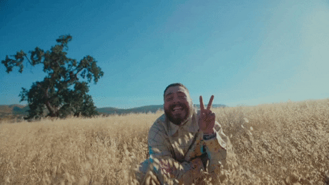 I Like You A Happier Song GIF by Post Malone - Find & Share on GIPHY