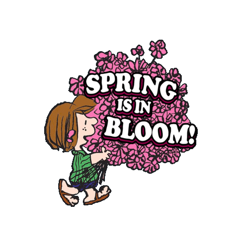 NEW Peanuts Stickers! by Peanuts | GIPHY