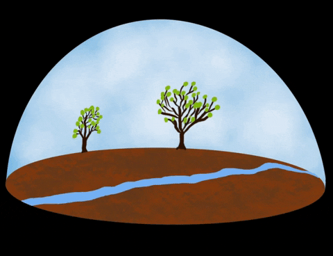 Winter Solstice GIF - Find & Share on GIPHY