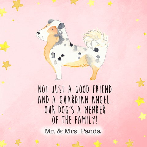 Australian Shepherd GIFs - Find & Share on GIPHY