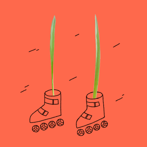 Girl Stripping While Rollerblading S Get The Best On Giphy