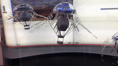 Medusa-3d-festo GIFs - Get the best GIF on GIPHY