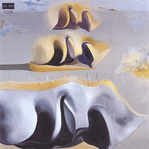 SALVADOR DALI by joelremygif | GIPHY