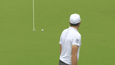 Pga Tour Golf GIF by Travelers Championship - Find & Share on GIPHY