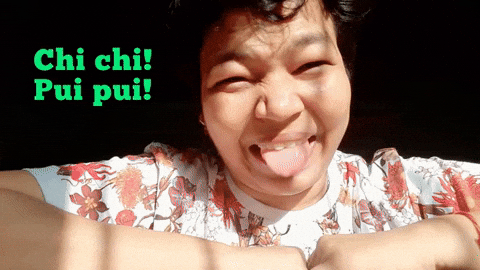 Puis GIFs - Get the best GIF on GIPHY