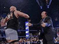 Stone Cold Stunner Gif