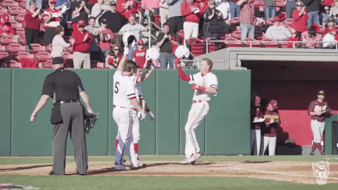 Nc State Pack9 GIF by NC State Athletics - Find & Share on GIPHY