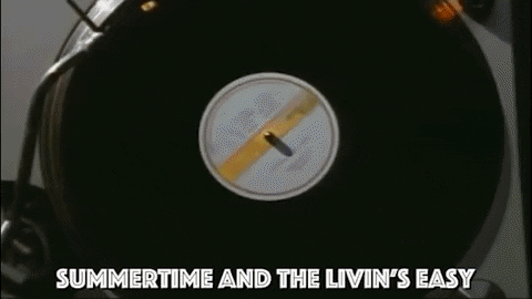 Summertime Record Gif