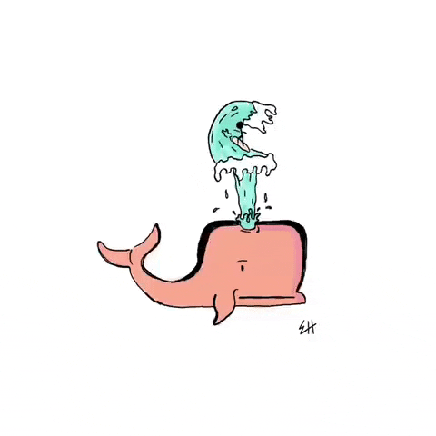 Whale Surfing GIFs - Get the best GIF on GIPHY
