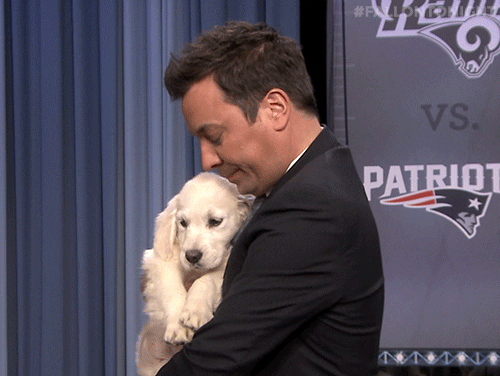 Pupy-predictor GIFs - Get the best GIF on GIPHY