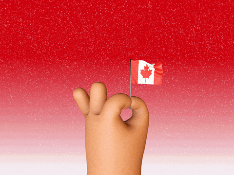 Fete Du Canada GIFs - Get the best GIF on GIPHY