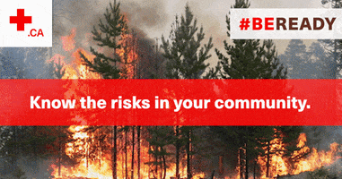 Canadian Red Cross GIFs on GIPHY - Be Animated