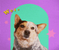 Welcome-home-dog GIFs - Get the best GIF on GIPHY