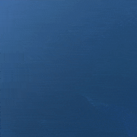 Tangled Pascal Calm Down Gif