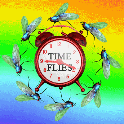 Time Is Flying GIFs - Get the best GIF on GIPHY