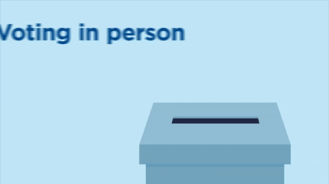 In-person-voting GIFs - Get the best GIF on GIPHY