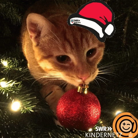 Cute Christmas Gif Tumblr
