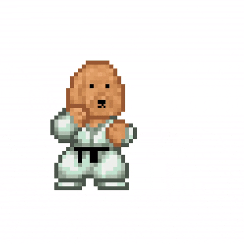 Save Animal GIFs - Get the best GIF on GIPHY