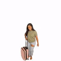 Packing Bags Gif