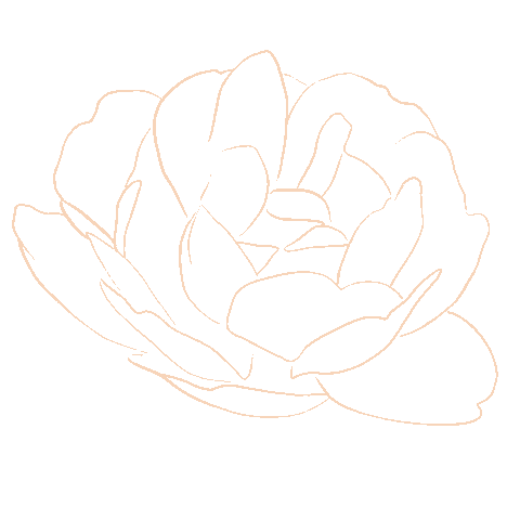 Flower Blooming Gif Transparent
