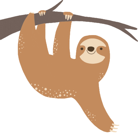 Deal With It Gif Sloth