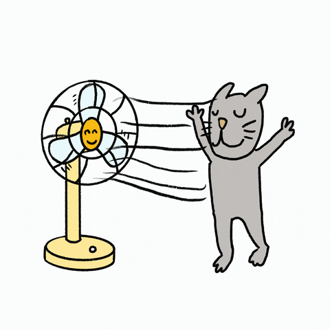 Coffee Cat GIFs - Get the best GIF on GIPHY
